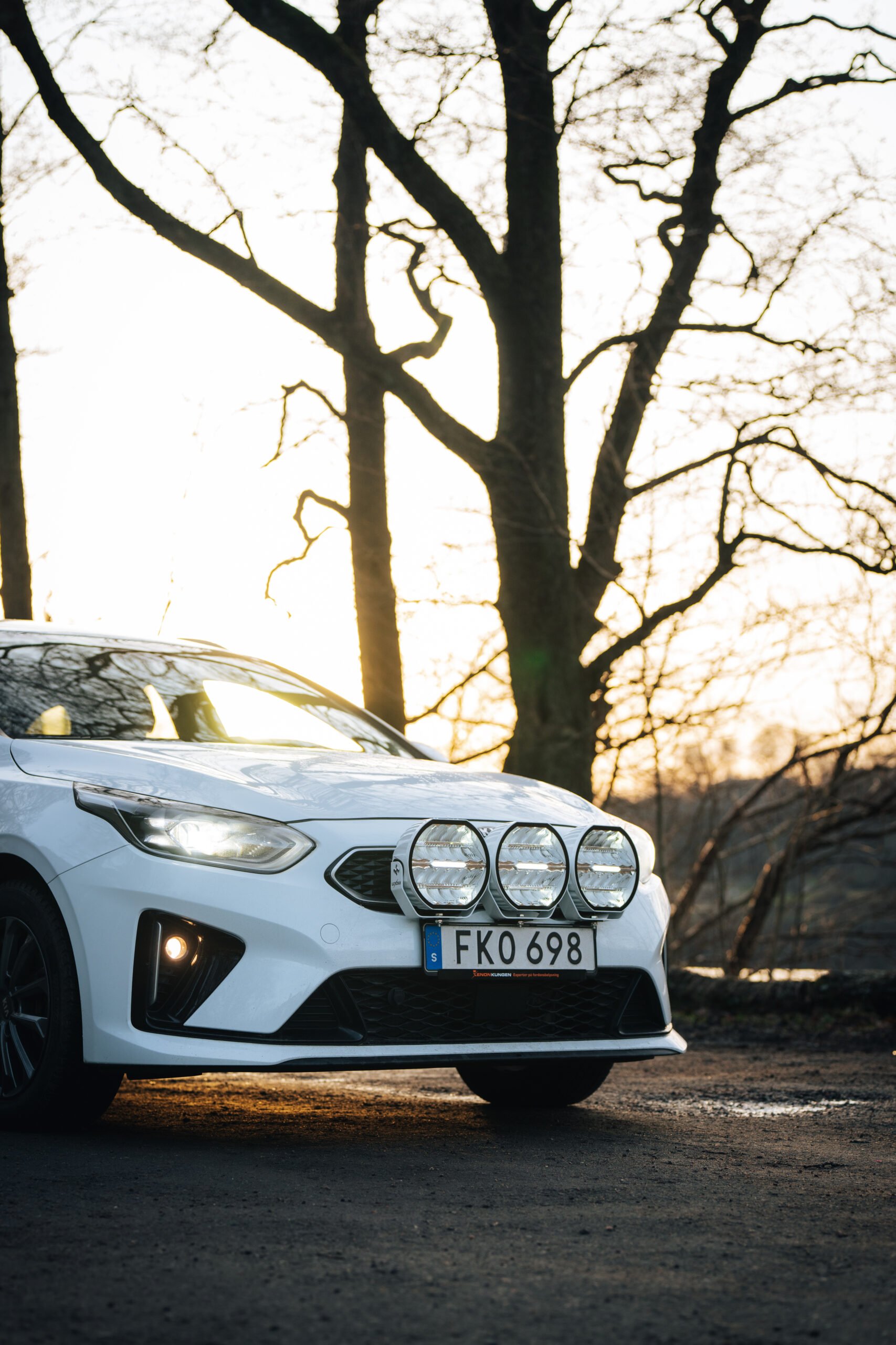 T10|W5W 3D Led 12-24v - Xenonkungen